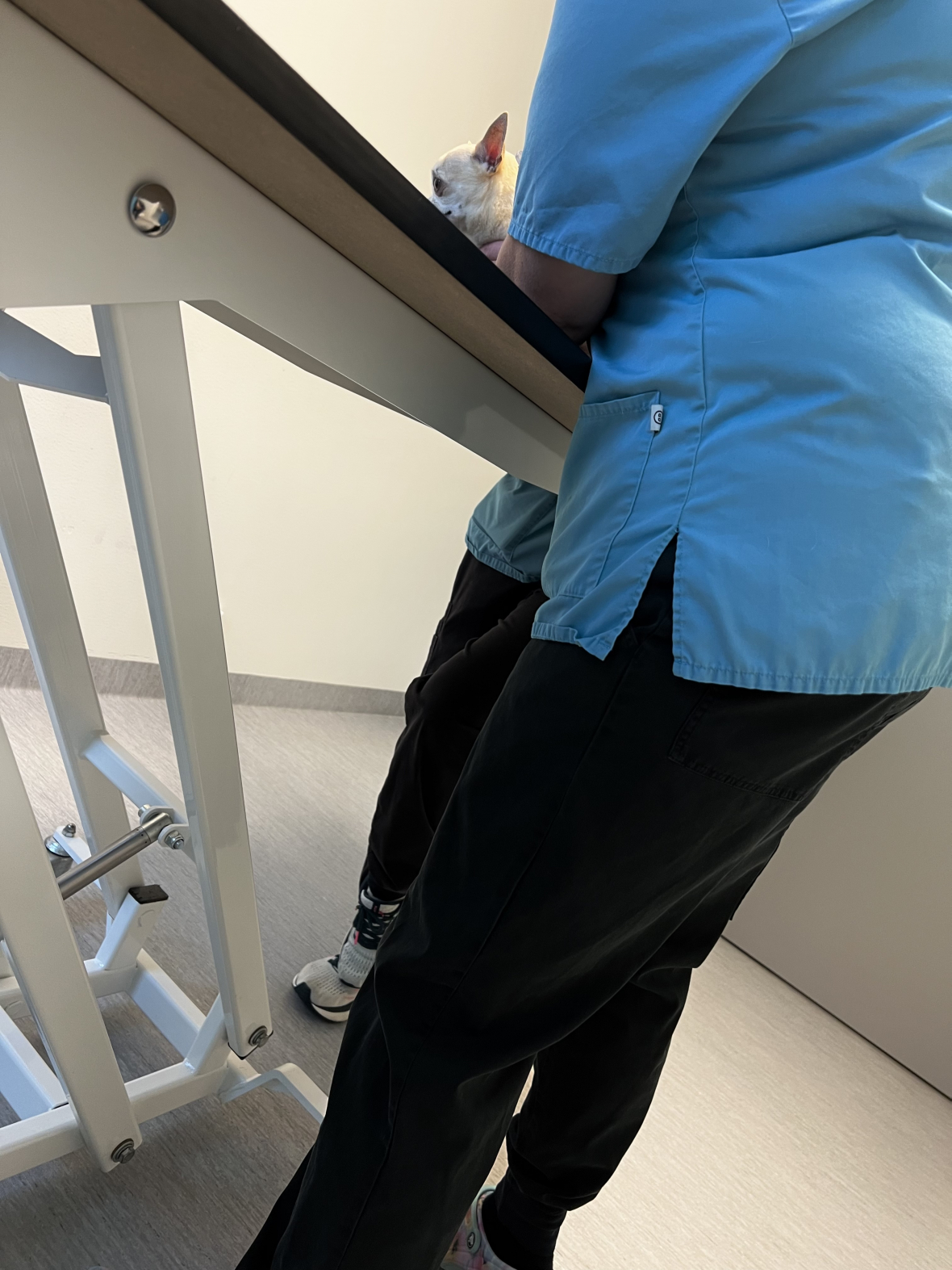 #9028 - MyFans - The Swedish Content Creators Platform